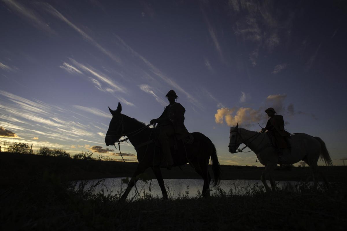Brazilian cowboys