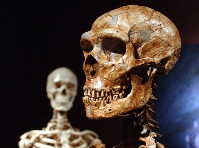 Study: Human females, Neanderthal males frequently coupled