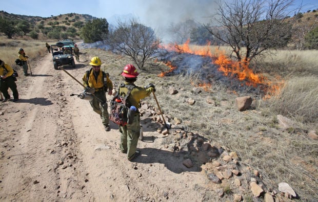 Photos: Fort Huachuca prescribed burn | Local news | tucson.com