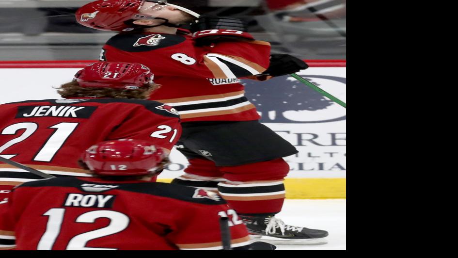 Roadrunners Michael Carcone, Tyler Steenbergen most productive AHL goal ...