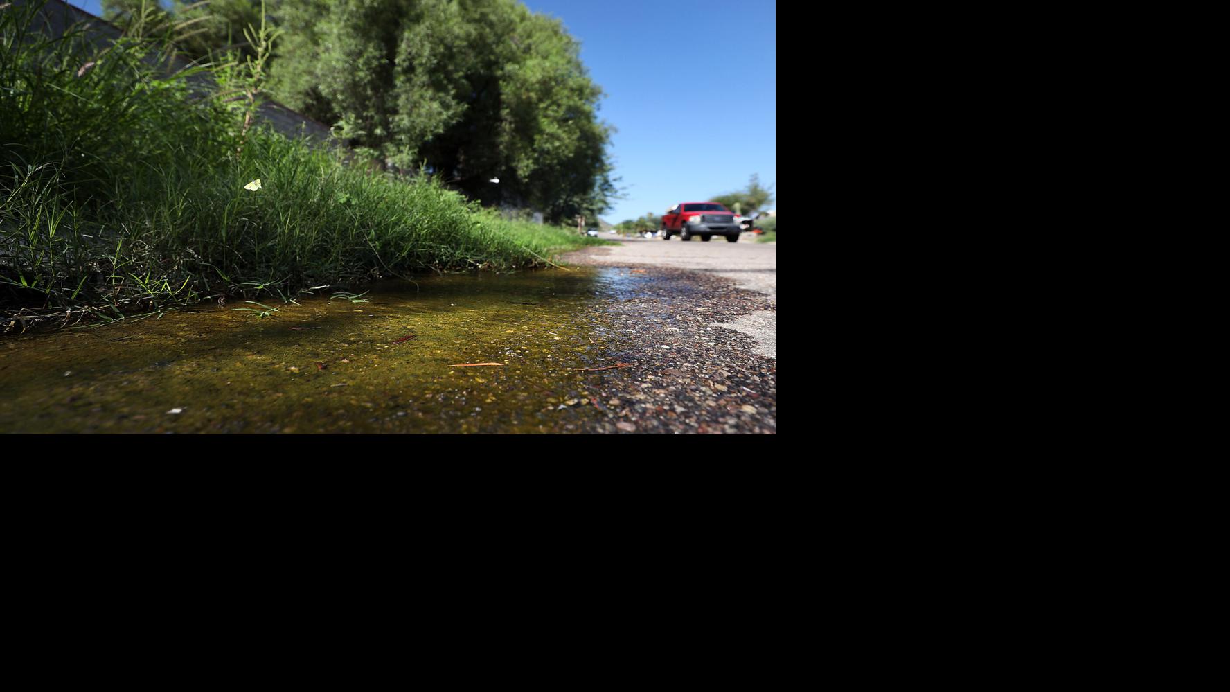 Monsoon revives natural spring in west-side Tucson neighborhood ...