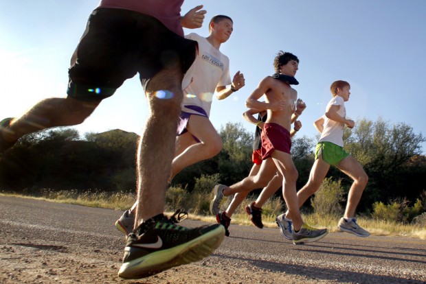 High school cross country: Hawks' prey is state title
