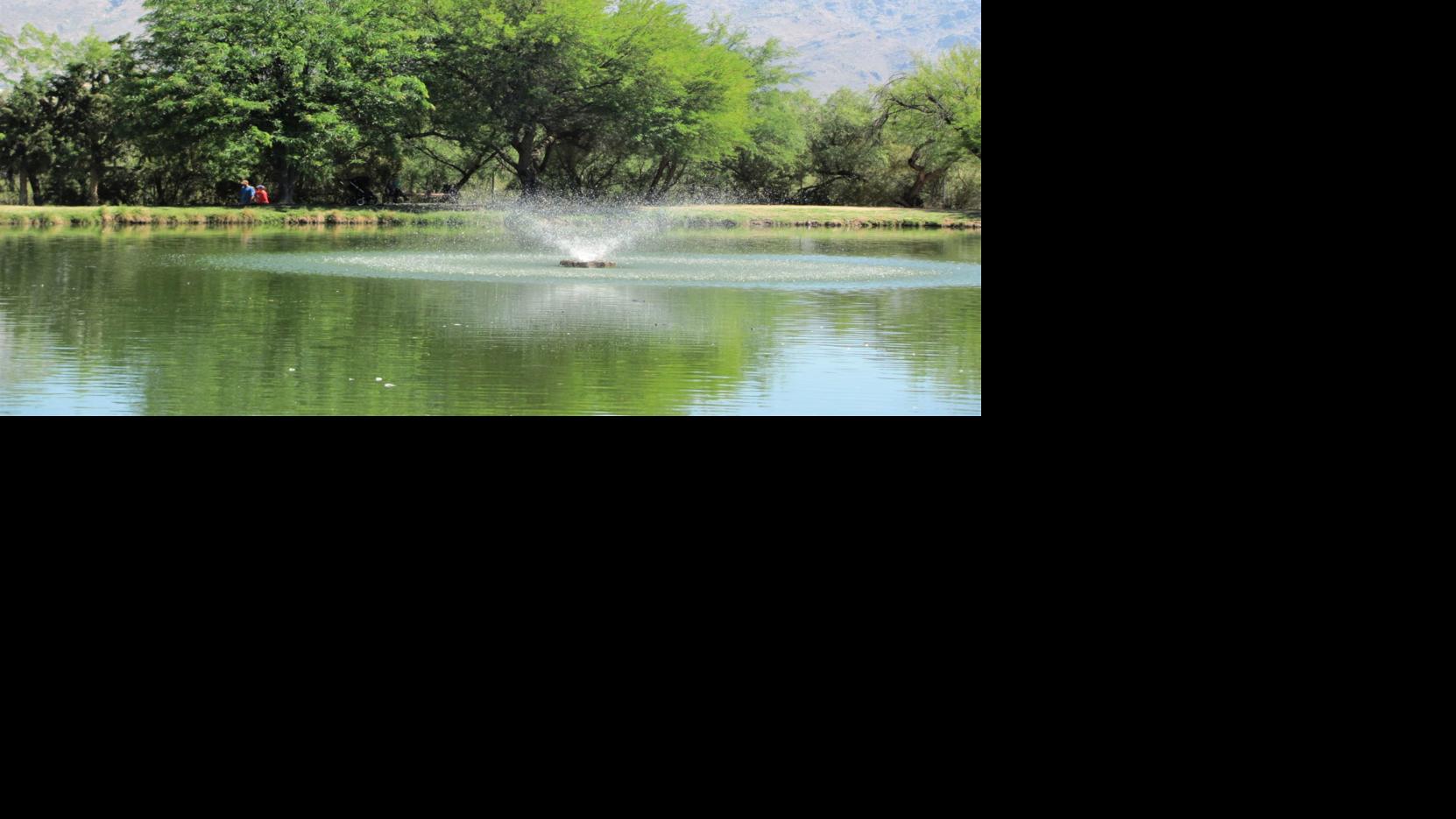 A 'wildlife oasis' awaits visitors at Fort Lowell Park's lagoon | Local ...