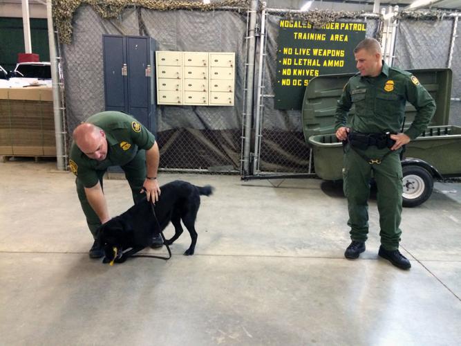 Last day: Surveillance and service dogs | A border and immigration blog ...