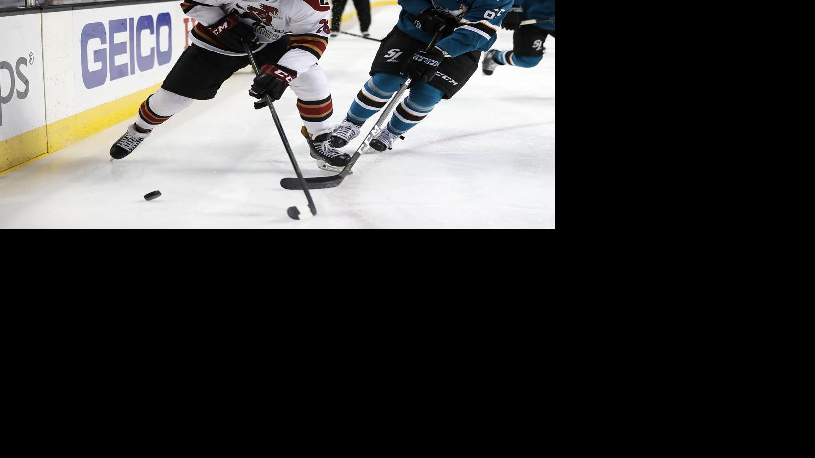 Photos: Tucson Roadrunners win first AHL playoff game in team history