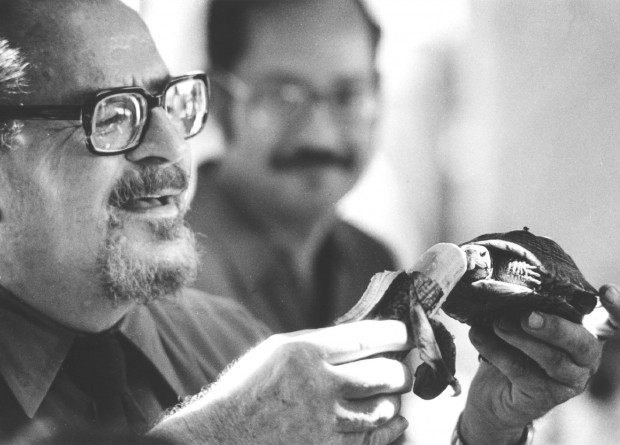 The Arizona-Sonora Desert Museum at 60 | Local news | tucson.com