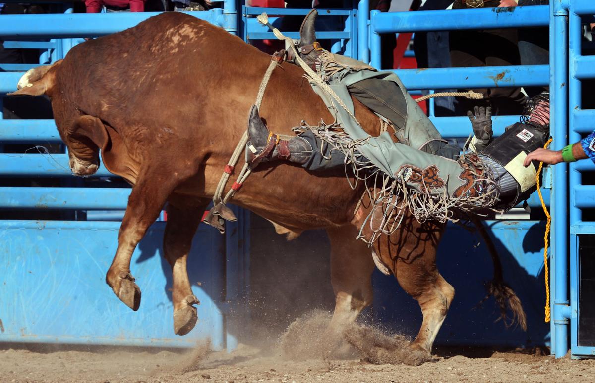 Photos: 2017 Tucson Rodeo action | News | tucson.com