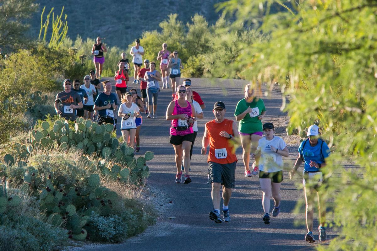 Nearing 50, TMC Saguaro National Park Labor Day Run grows in popularity ...