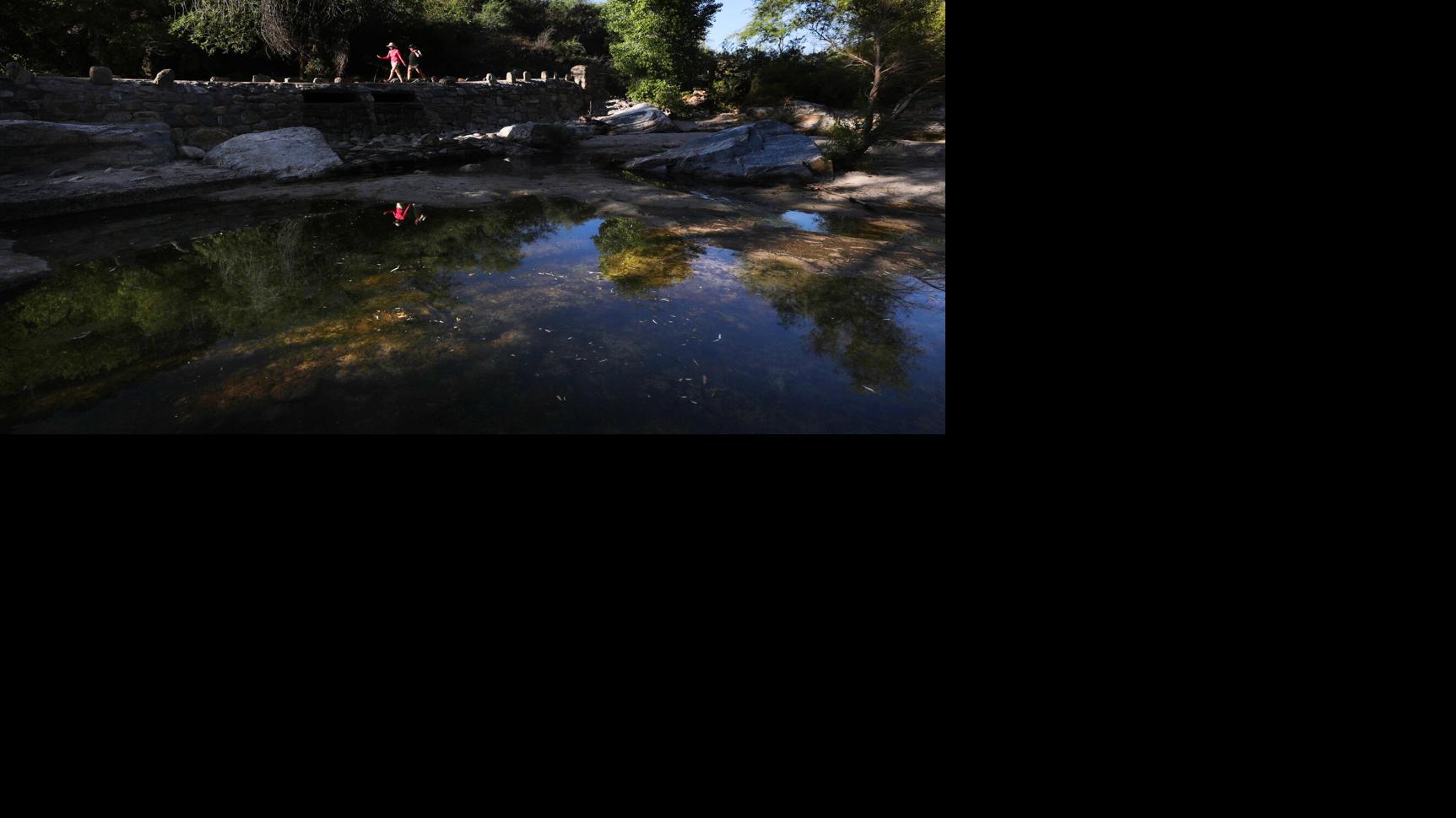 'Really impressive' flows as rainy year nourished Tucson streams