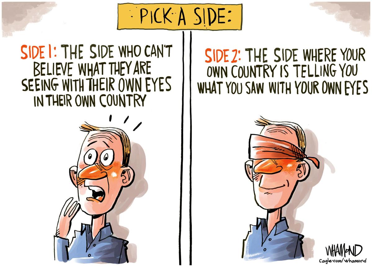 ANOTHER VIEW | Dave Whamond | Cagle Cartoons