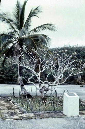 A Generation Gently Bids Fairwell | Arts-and-leisure | tucson.com