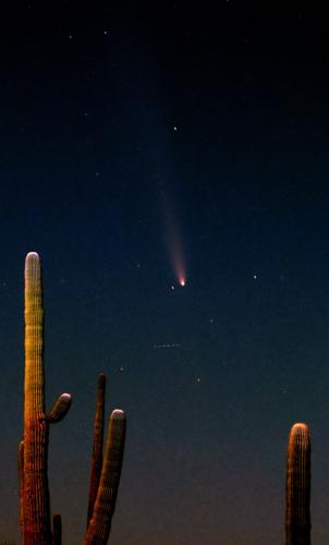 Rare comet makes a flyby over Tucson