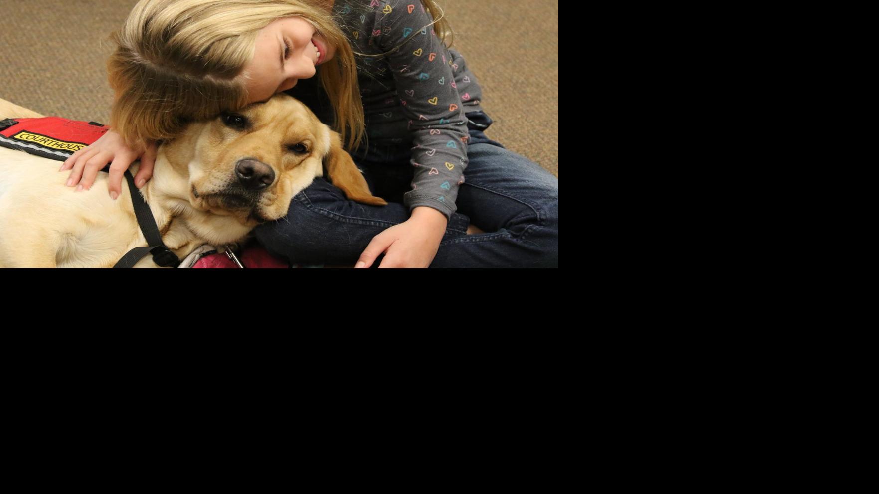 Pima County's Courthouse Dogs Program expands to include 1-year-old ...