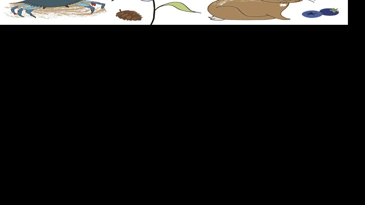 'The Ultimate Book of Scavenger Hunts'‌ by Stacy Tornio