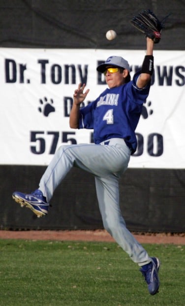 Baseball: Canyon del Oro earns title at Amphi Panther Classic