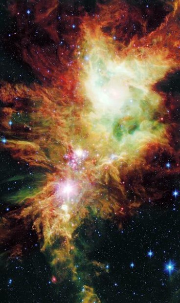 'Christmas Tree Cluster' is stellar look at newborn stars