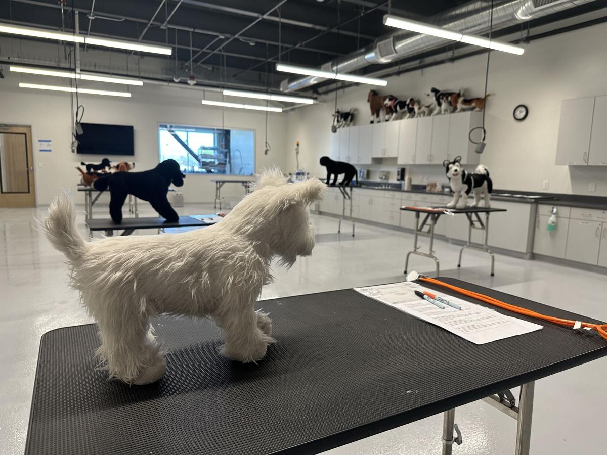 New high school to prepare Tucson teens for medical careers