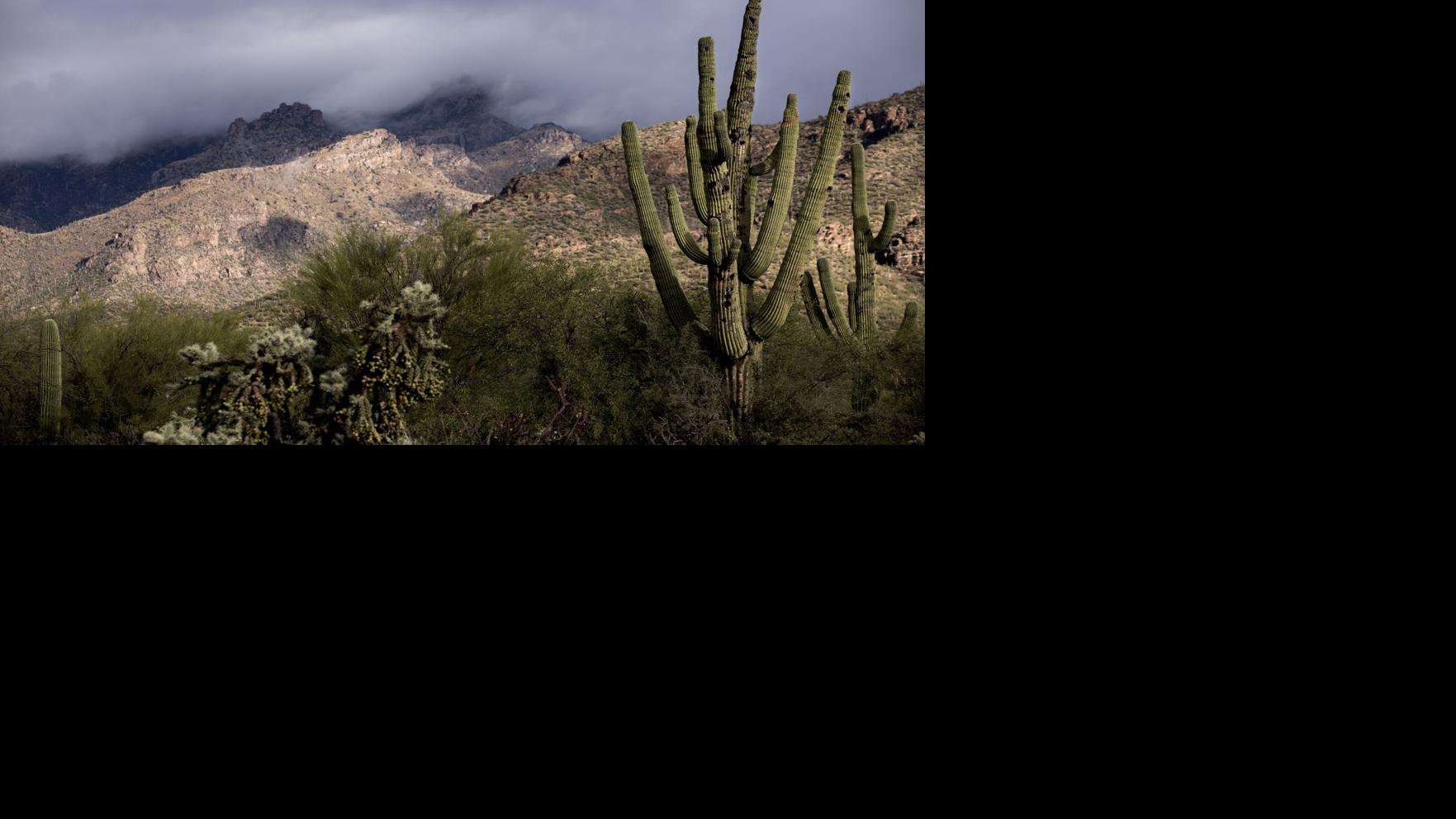 NWS Tucson: freezing temps, mountain snow may be on the way