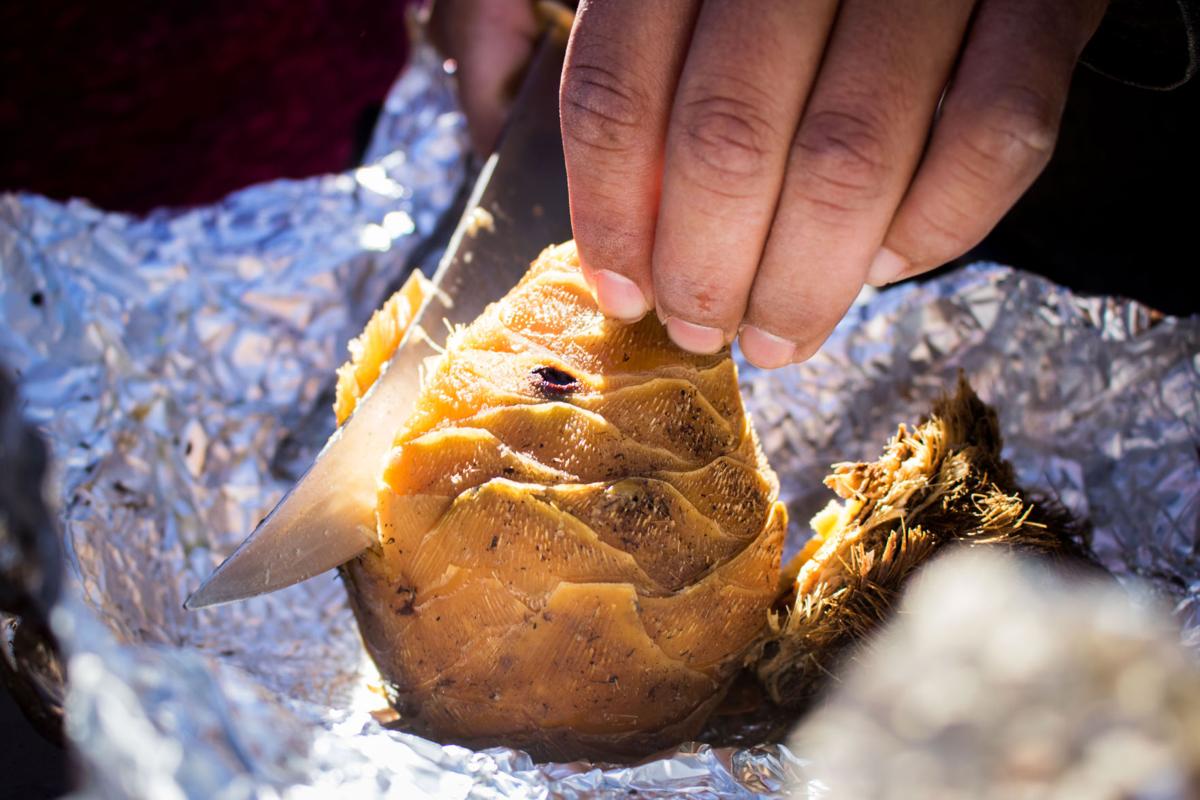 How the Tohono O'Odham roast agave into sweet candy | eat | tucson.com