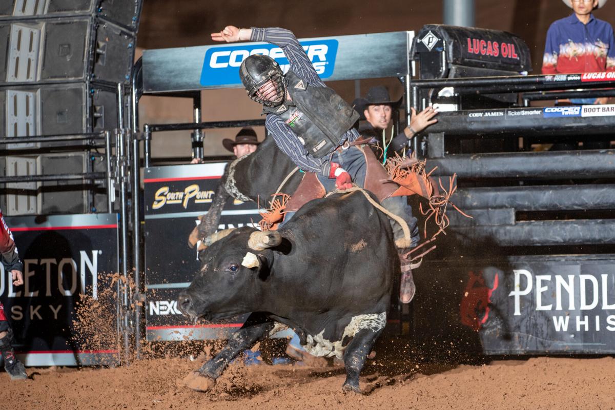 code blue pbr bull