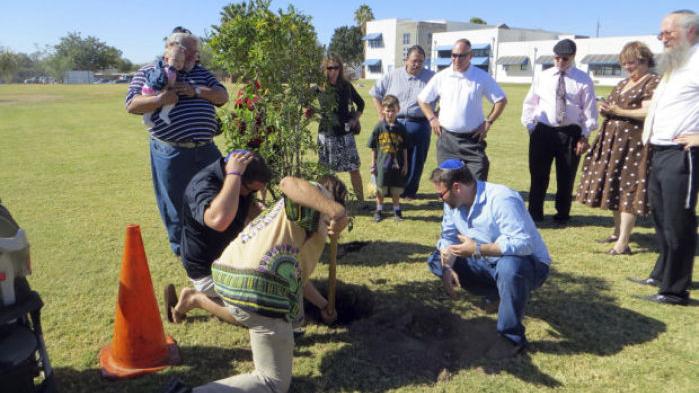 Planting, anti-bully work honor woman who showed "Anna-tude" in cancer ...