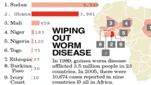 Campaign to wipe out painful guinea worm in last, toughest stage
