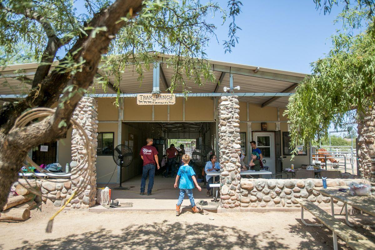 2 Tucson horse stables settling in, with both in a helping mood ...