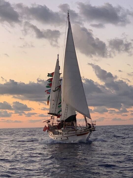 Tucsonan captaining flotilla boat detained in Israel