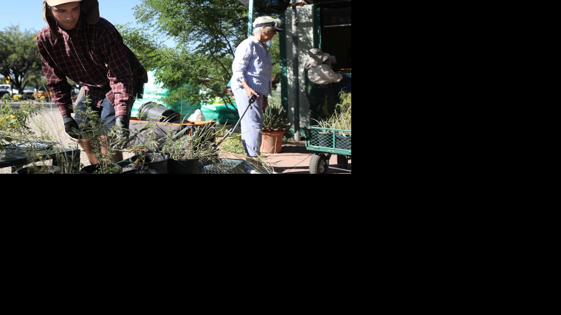 Shop plants at these eight Tucson spots this spring 2024 | to do ...