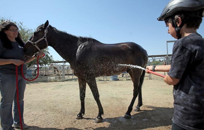 Photos: Therapeutic Ranch for Animals and Kids