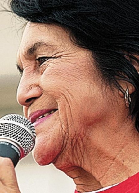 Legislator asks official ruling on Huerta talk