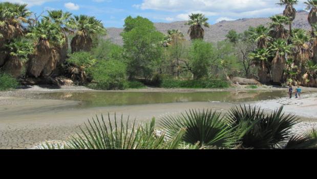 Drought is likely to stick around | | tucson.com