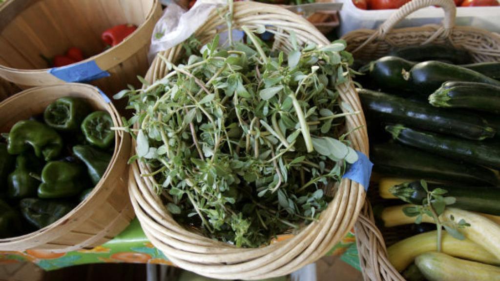 This tasty weed is making a comeback in Tucson