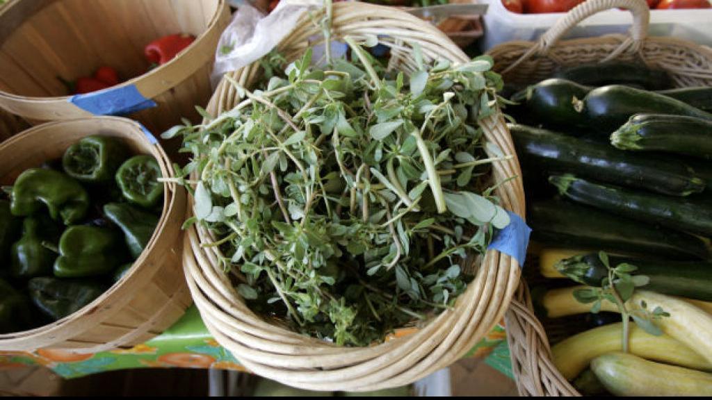 This tasty weed is making a comeback in Tucson