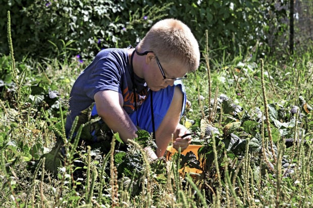Autistic adults, parents find haven at Hereford ranch