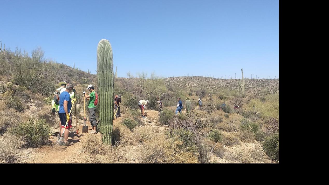 Pima County searching for volunteers to help build and restore Tucson ...