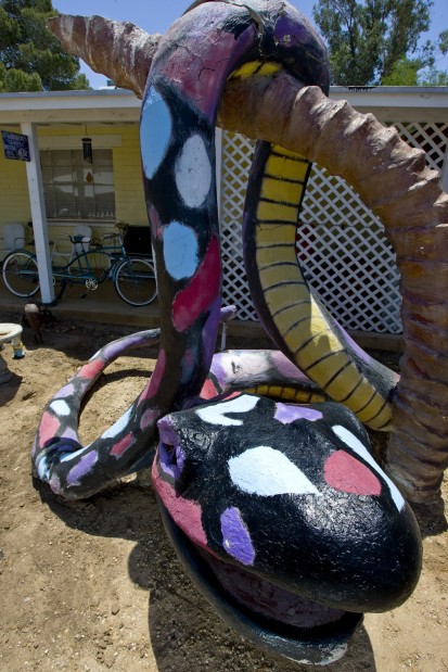 Tucson Oddity: Magic Carpet's quirky beings take up new lives across ...