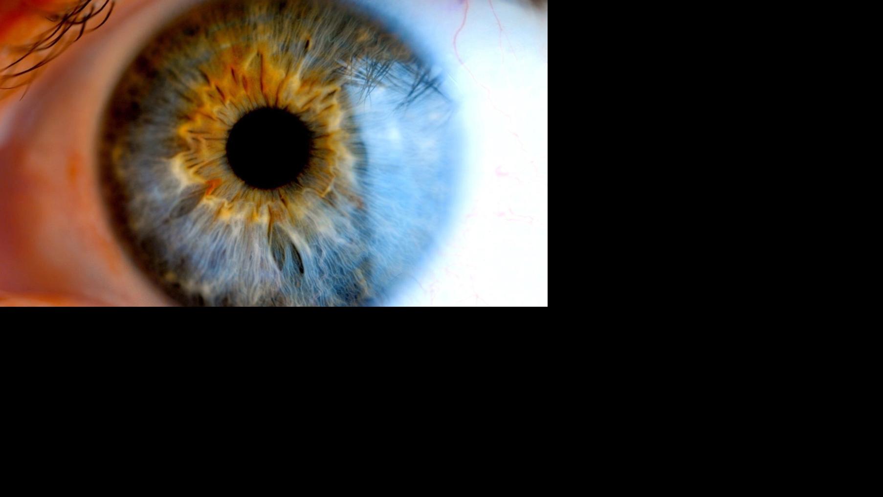 Why do our eyes move when we sleep? Scientists have the answer