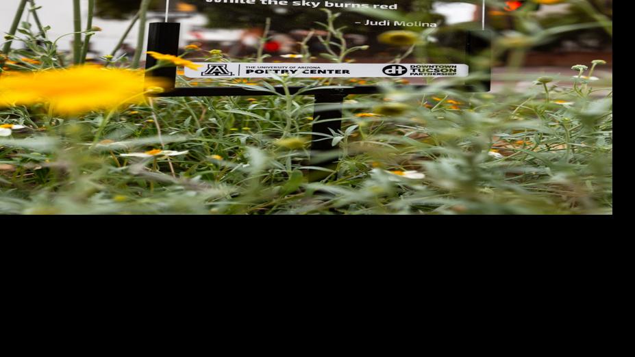 Take a haiku hike through downtown to rediscover all that makes Tucson ...