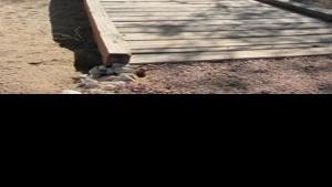 Peaceful alternative