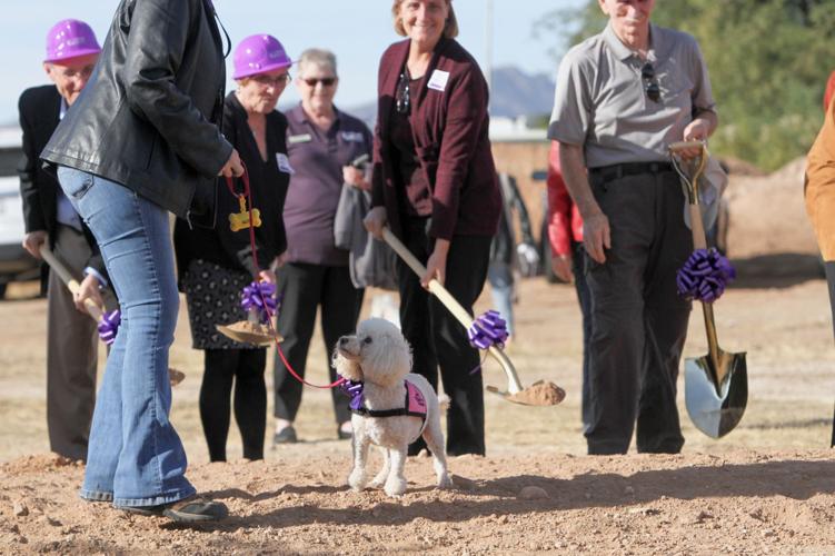 Humane Society of Southern Arizona breaks ground on new location | News ...