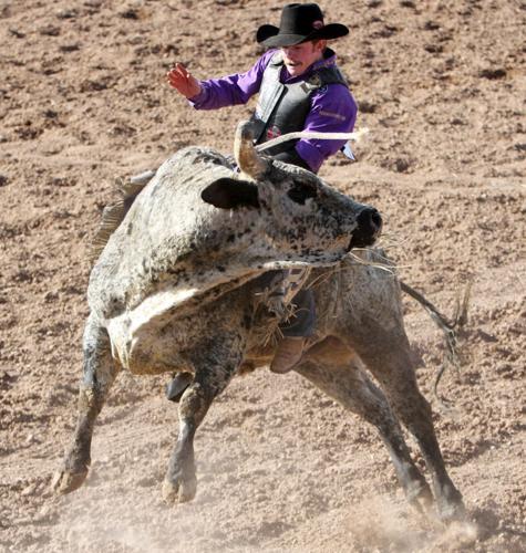Rodeo roundup | News | tucsonlocalmedia.com