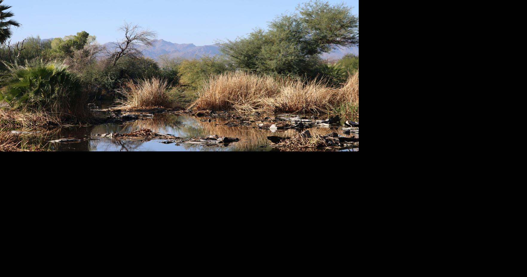 Behavioral Health Resources for Tucson Families Seeking Support ...