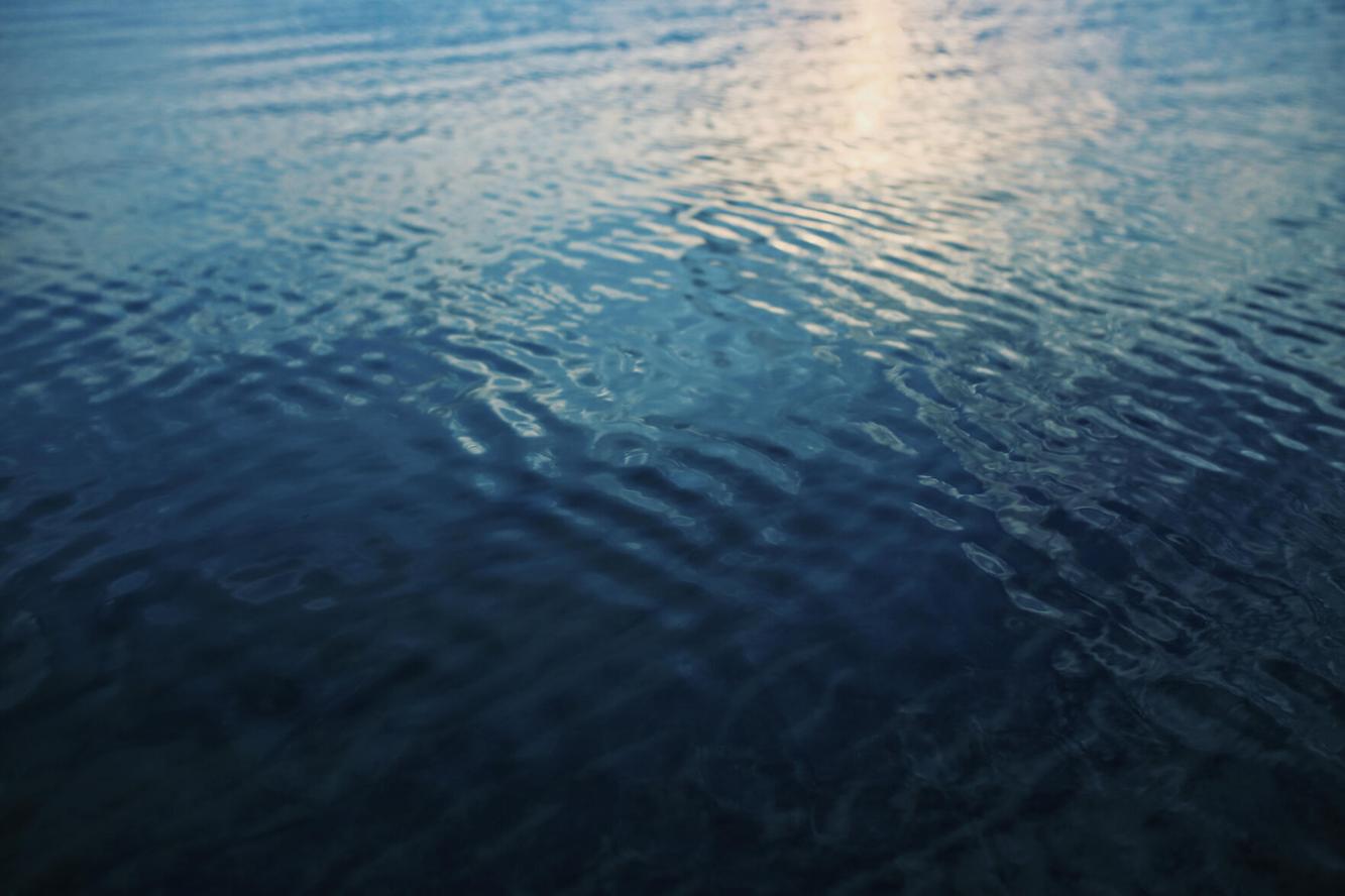 Group demands ‘complete’ pond study | News | tucsonlocalmedia.com