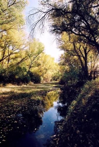 A Southern Arizona river walk | El Sol | tucsonlocalmedia.com