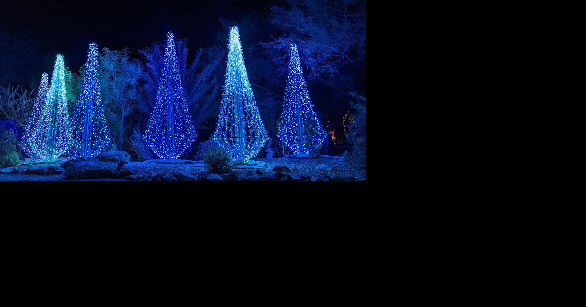 Tucson Botanical Gardens sparkles this season | Features ...