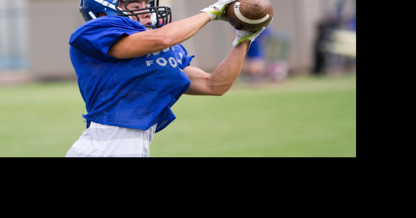 Young Falcons looking to build on last season | Sports ...