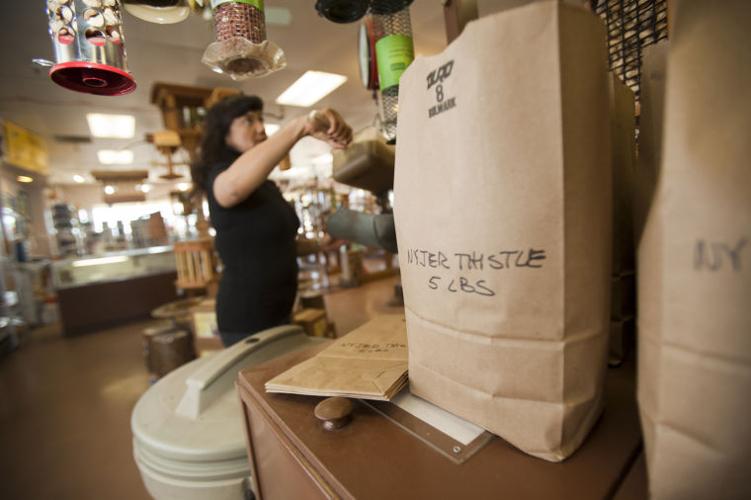 Bird enthusiasts wild about The Wild Bird Store | Business ...