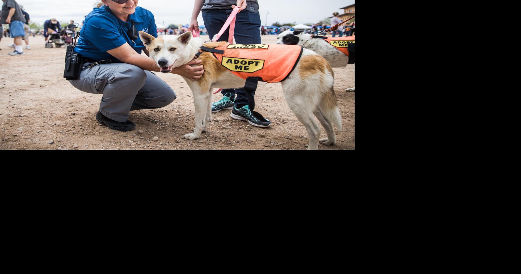 Marana Animal Services is here to help | News | tucsonlocalmedia.com