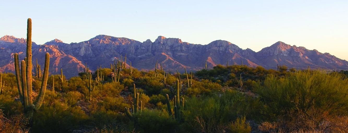 Oro Valley Town Council pulls most ‘big ideas’ from tourism plan | News ...